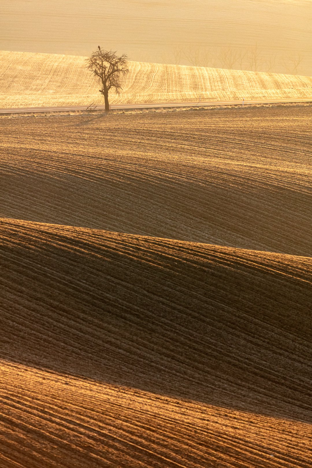 Jeno Major - Landscape Photography - Landscapes