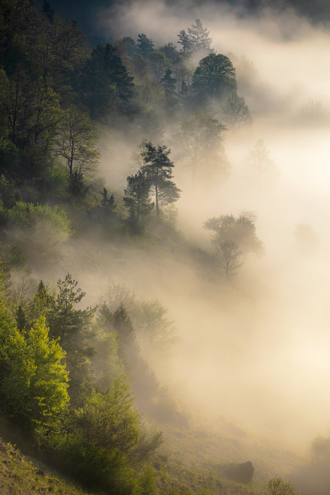 Jeno Major - Landscape Photography - Landscapes