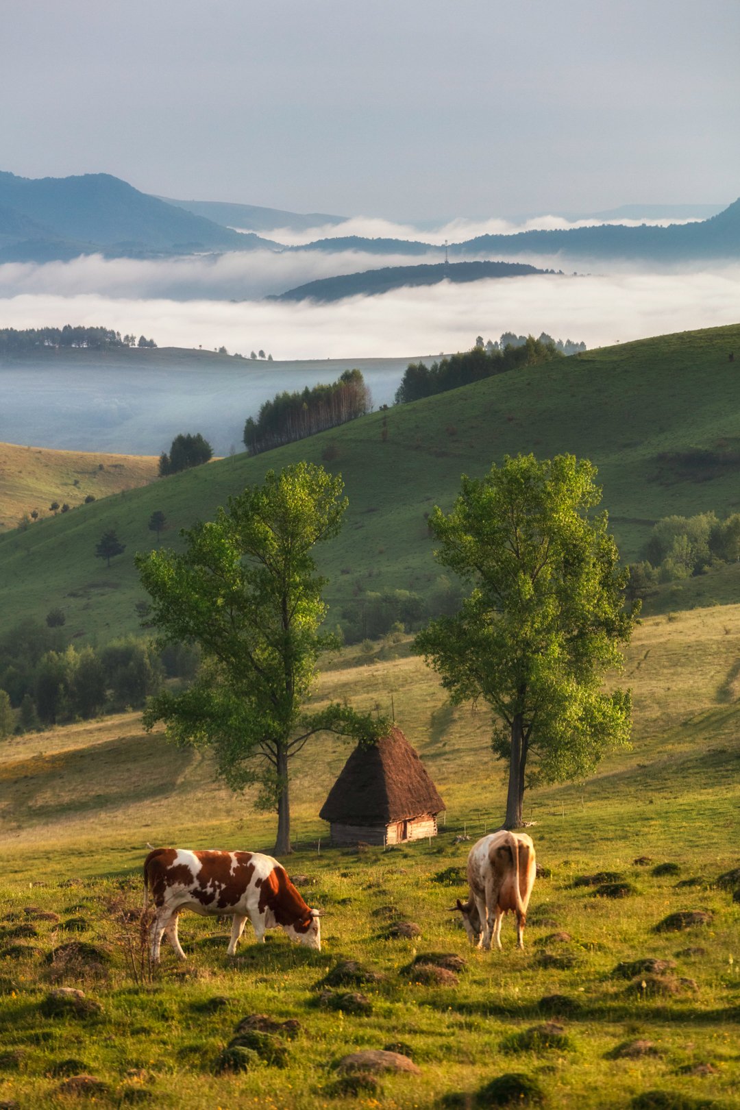 Jeno Major - Landscape Photography - Landscapes
