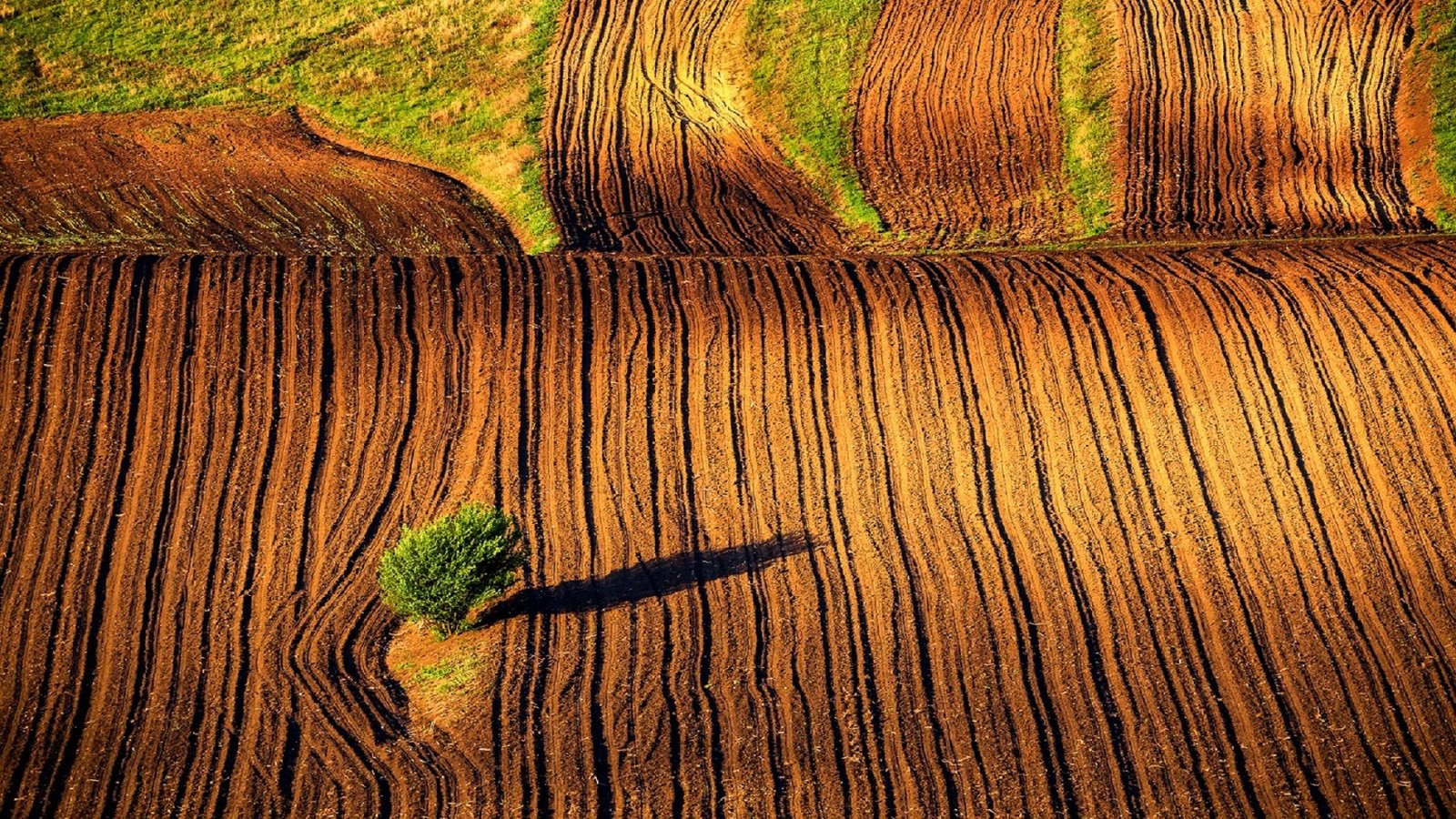 Jeno Major - Landscape Photography - Landscapes