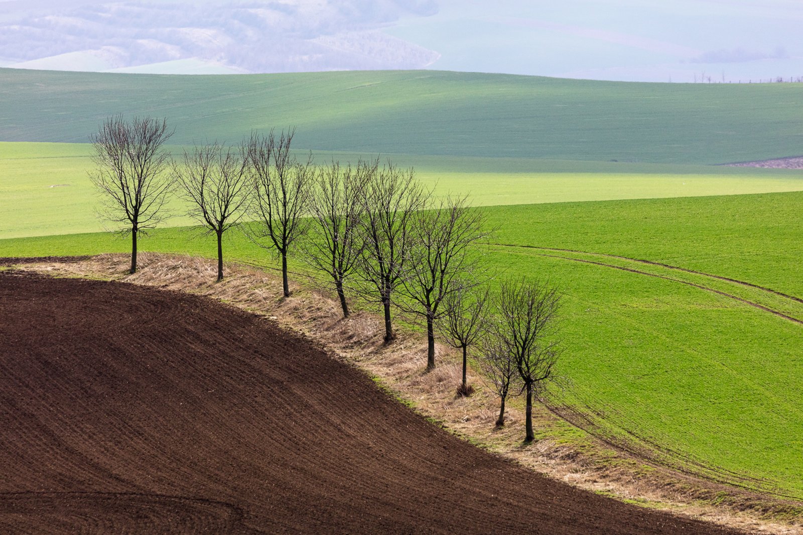 Jeno Major - Landscape Photography - Landscapes